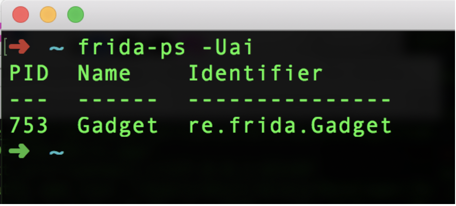 Setting up Frida Without Jailbreak on the Latest iOS 12.1.4 Device