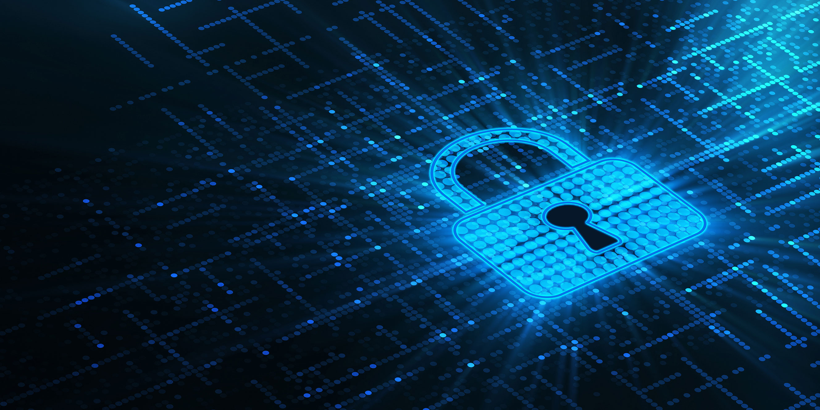 The Role of Cryptography in Software Security